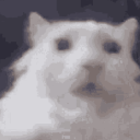 Discord Automod Bots | Discord Bot List