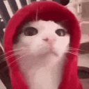 Join 1v1 Hood Discord Server | Invite Link