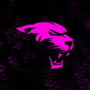 Join Panther Solutions Discord Server | Invite Link