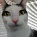 Join 🐟The goofy goobers👻 Discord Server | Invite Link