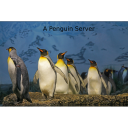 Join A penguin server Discord Server | Invite Link