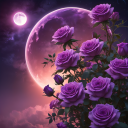 Join eclipse ☆ Discord Server | Invite Link