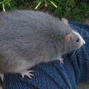 Join ToopSternal Discord Server | Invite Link