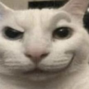 Join weird animals Discord Server | Invite Link