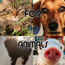 Join For the Animals!™ Discord Server | Invite Link