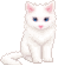 Join jesse Discord Server | Invite Link