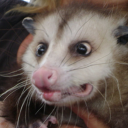 Join Home of Chaos Discord Server | Invite Link