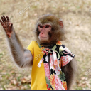 Join the homies Discord Server | Invite Link