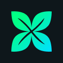 Join Crossmint 🍀 Discord Server | Invite Link